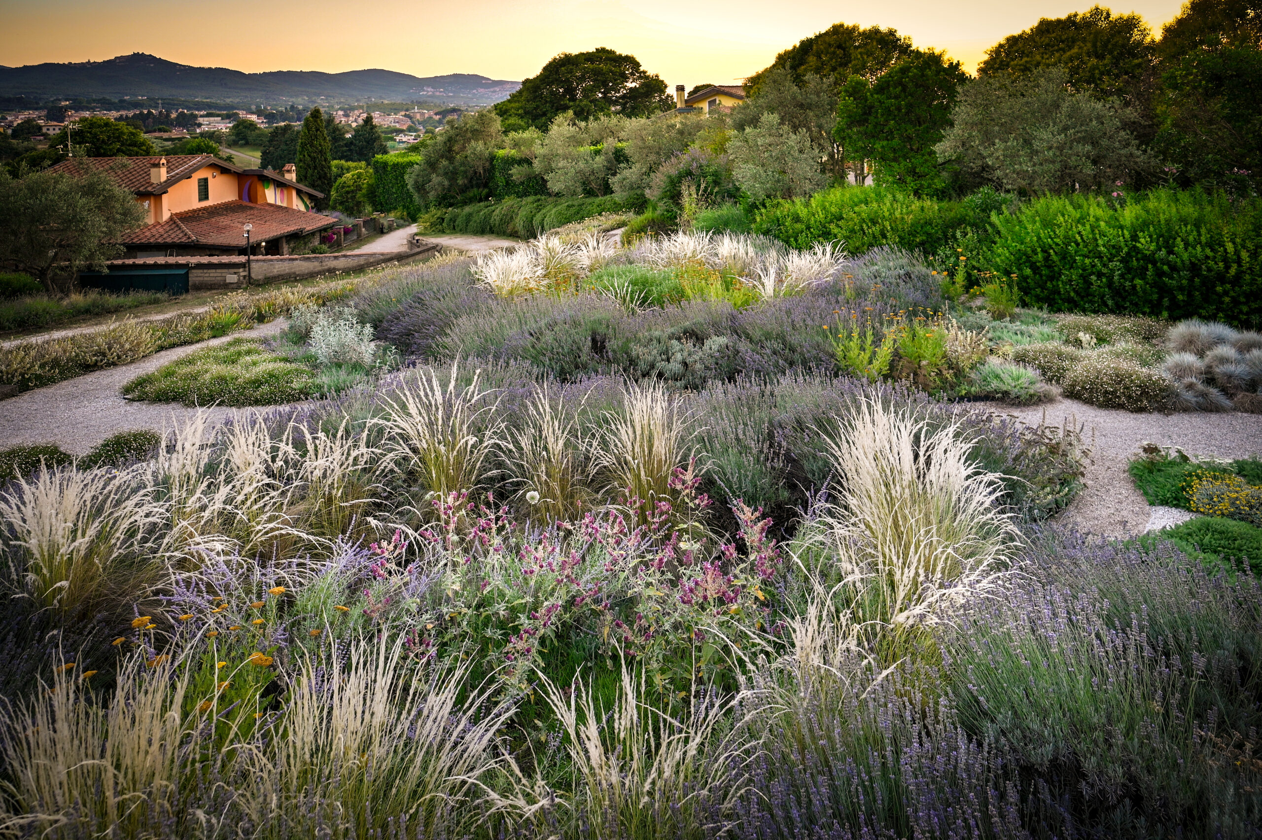 Colline romane - Garden & Landscape Designer - Stefano Assogna